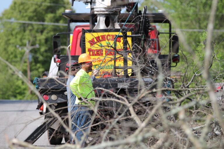 Tree Service - Knoxville, TN - Mencer's Tree Service